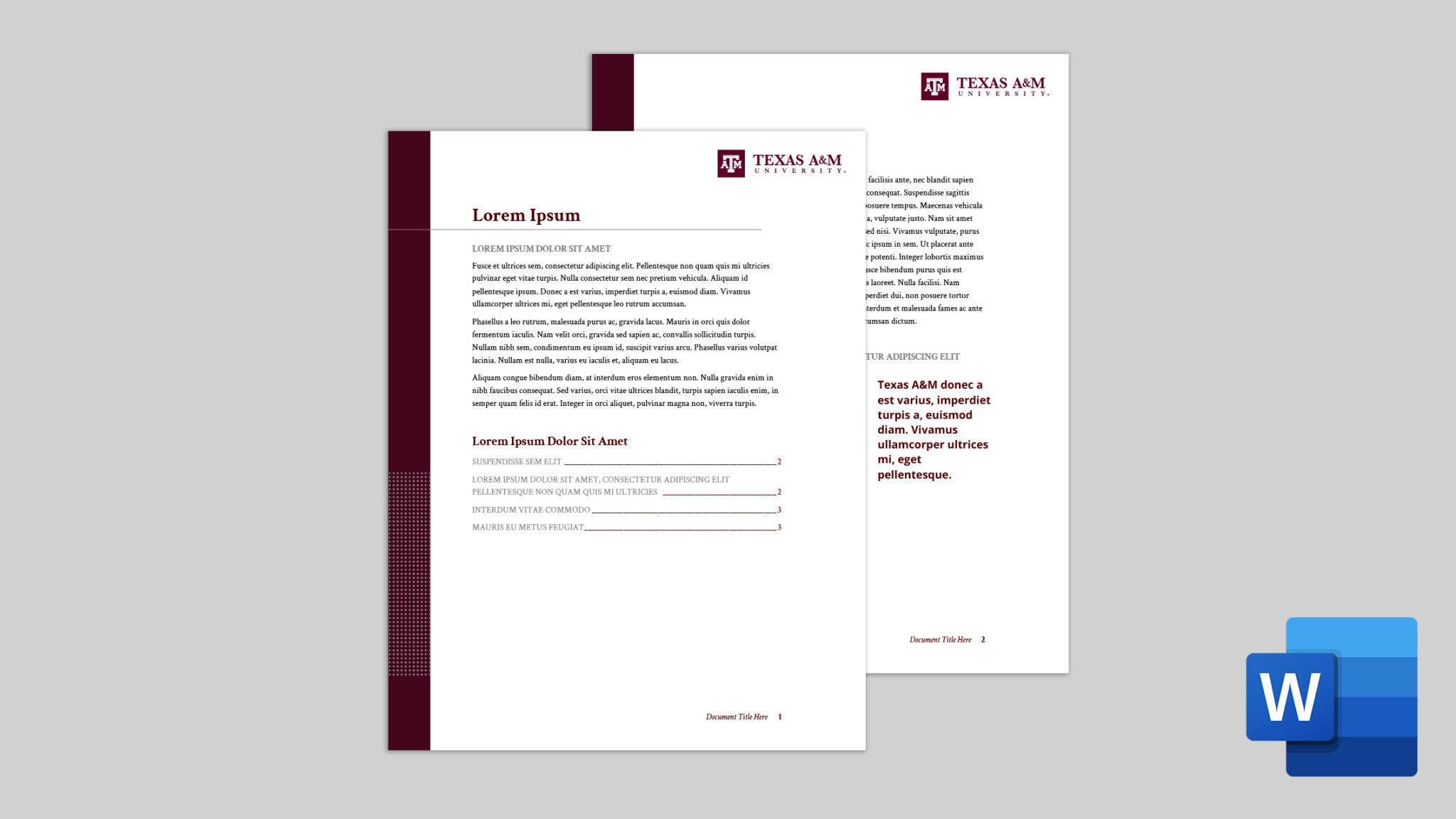 Formatted Report Word Template – Marketing & Communications | Texas A&M ...