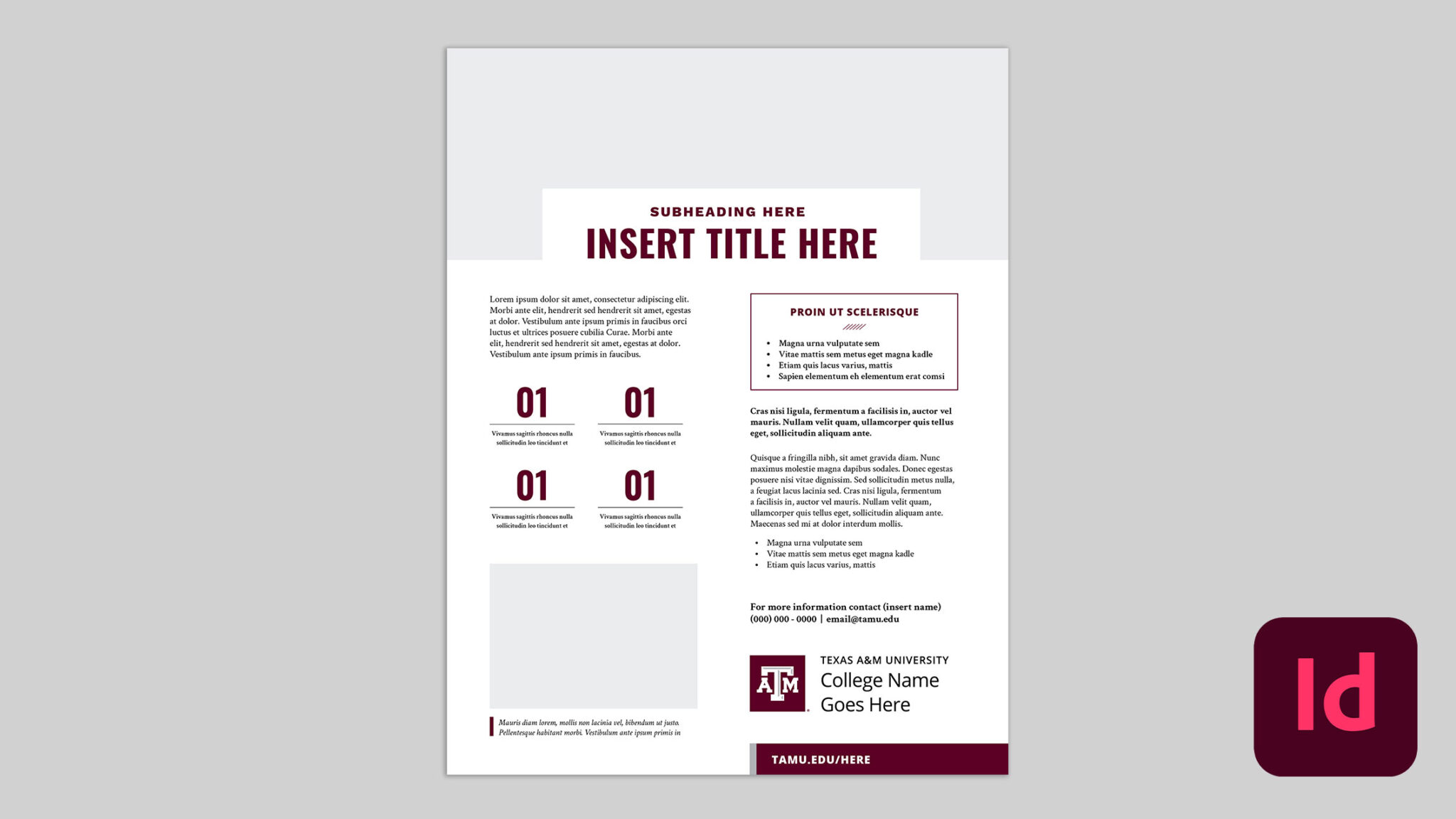 Fact Sheet 3 InDesign Template – Marketing & Communications | Texas A&M ...