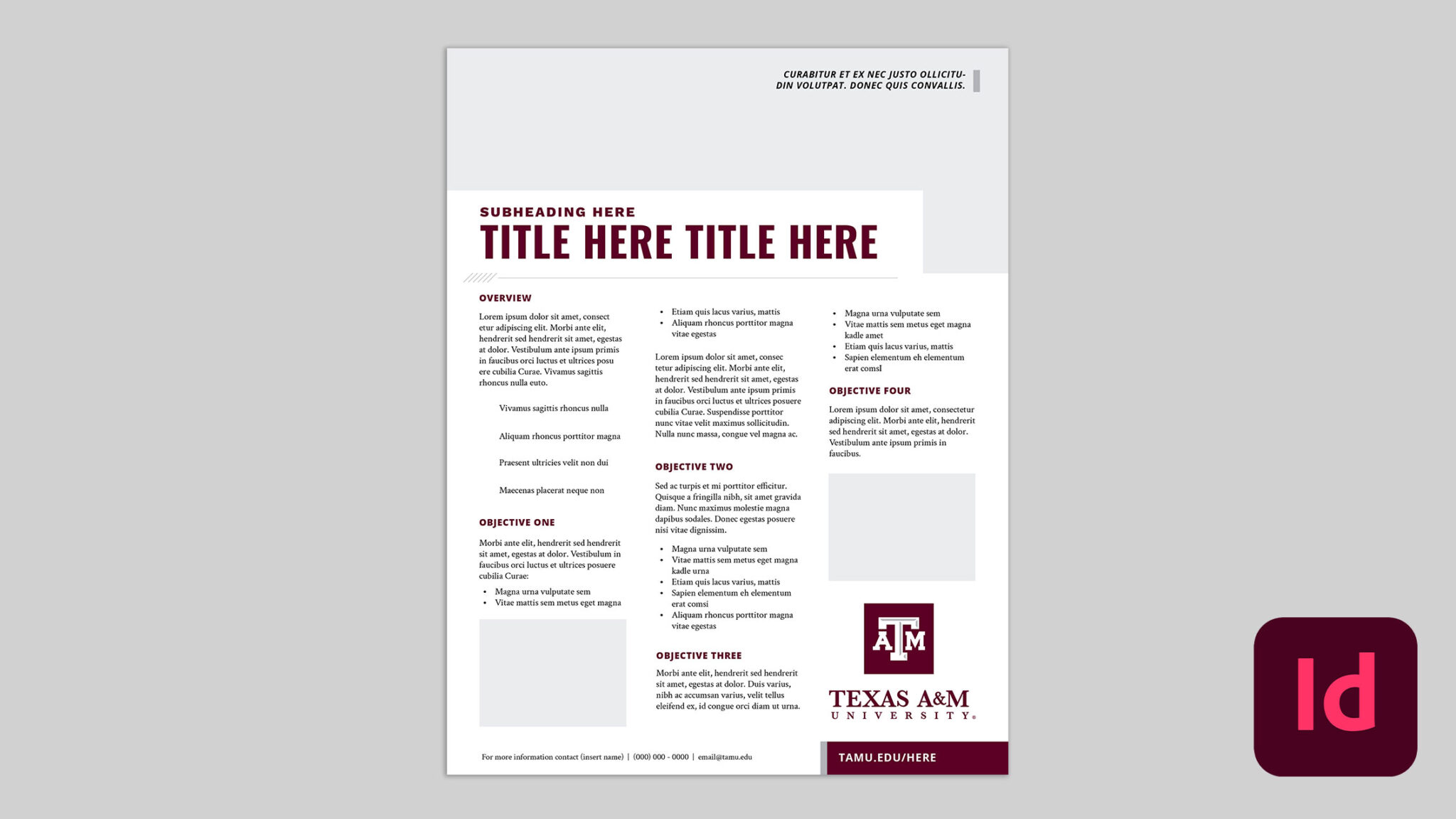 Fact Sheets – Marketing & Communications | Texas A&M University