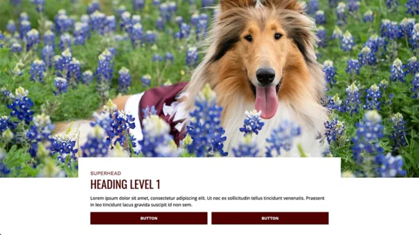Aggie UX Home Page Header Templates – Marketing & Communications ...